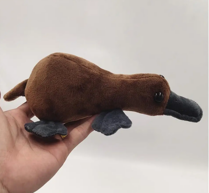 Cute Platypus Plush Toys 20cm – SJJ PLUSH