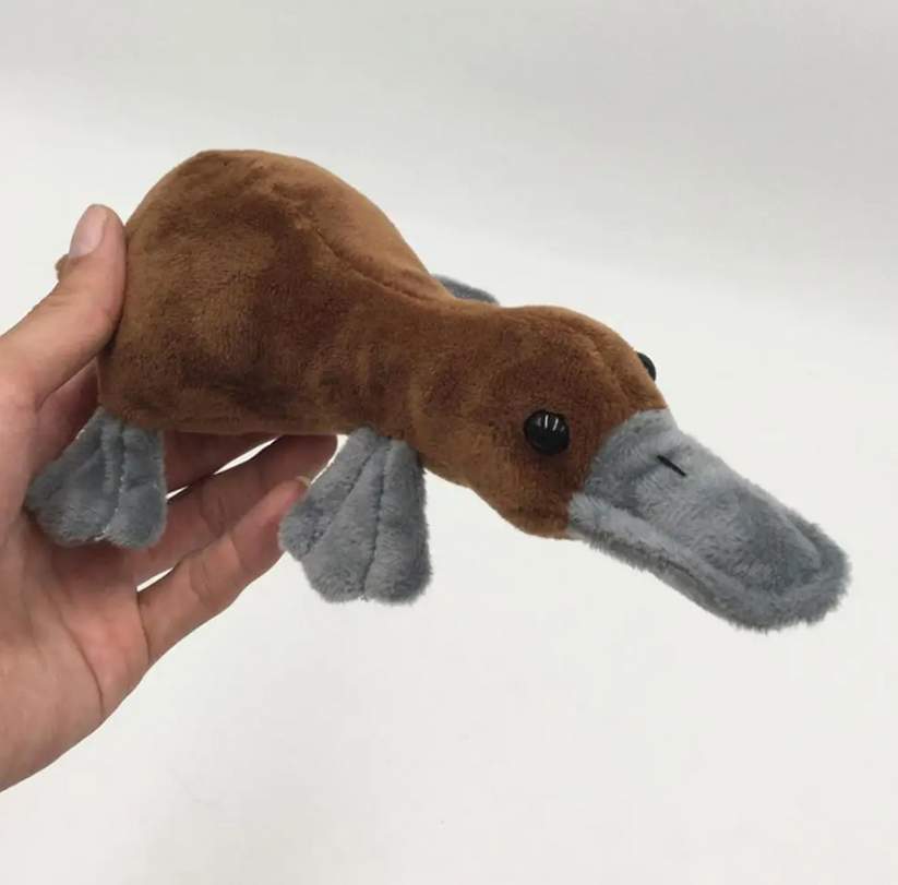 Cute Platypus Plush Toys 20cm – SJJ PLUSH